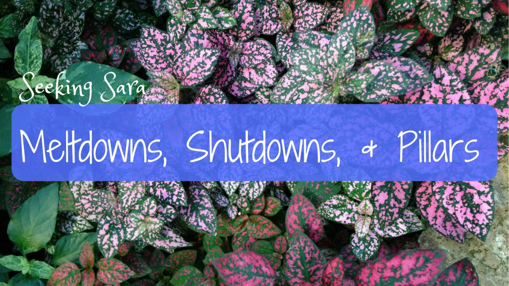 Video: Meltdowns & Shutdowns – Autistically Alex